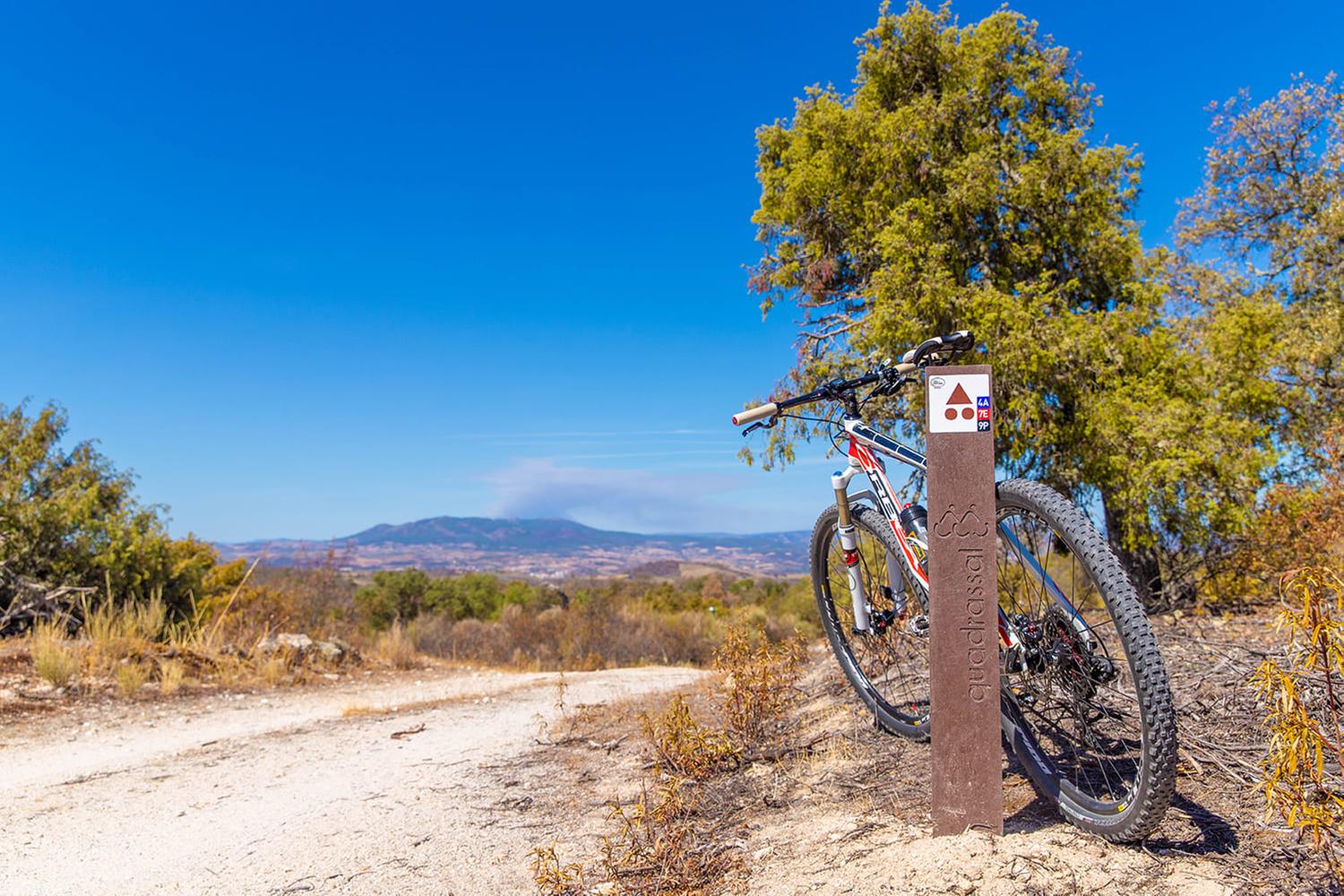 Cyclin' Quadrassal - HOME